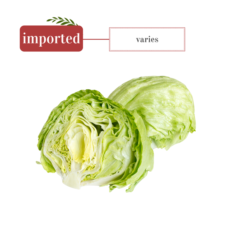 Iceberg Lettuce – Mint Foods