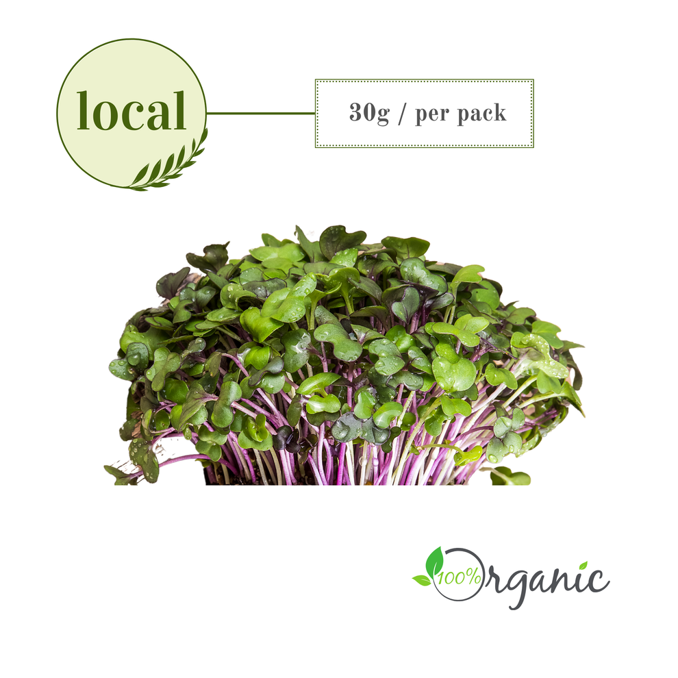 Microgreens: Red Cabbage – Mint Foods