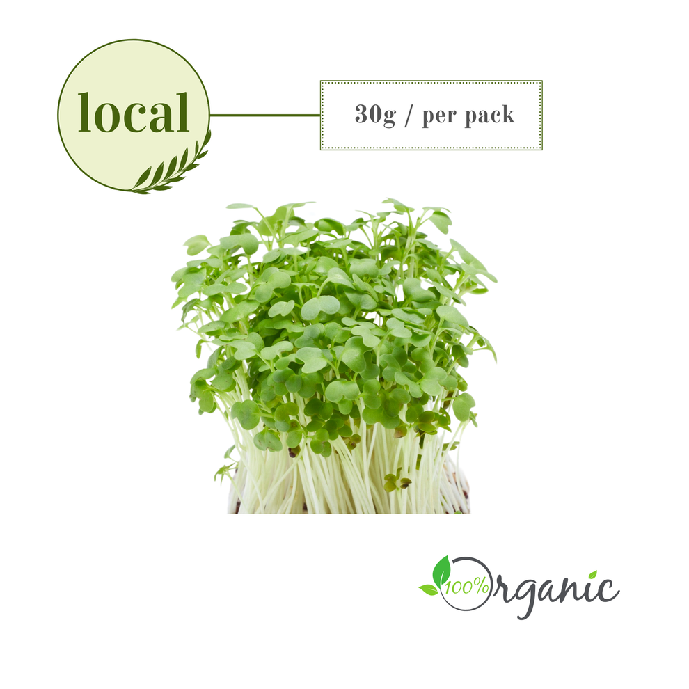 Microgreens: Rocket – Mint Foods